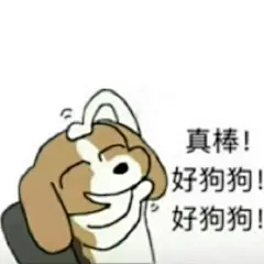 比格多栋表情包|wer？werwerwerwer！图片大全-比格多栋表情包|wer？werwerwerwer！高清好看的图片--花瓣老猕猴桃的画板