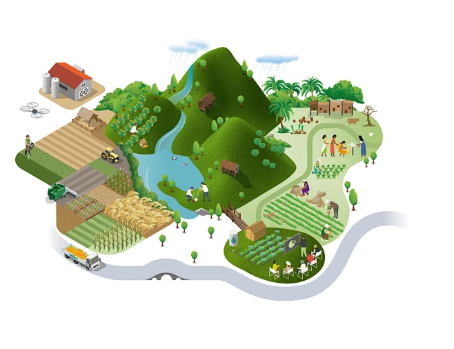 2.5D插画信息图表-花瓣网