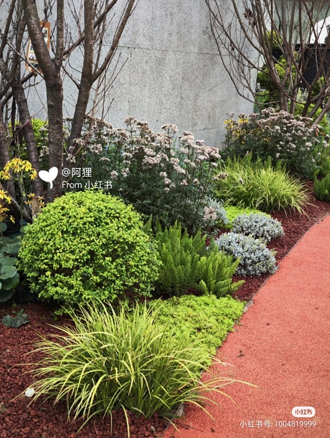 Camera_XHS_16670429229780302at01kmgcd981jwa0112kbdwdjmkyyb