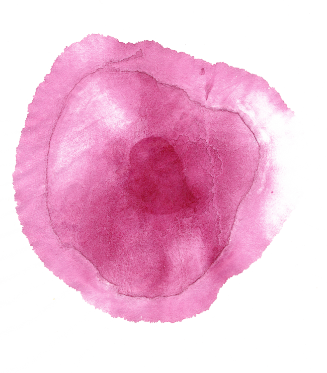 C1 C4 Ab Bc A3png Cd B8 C3 F7 B1 B3 Be B0 2 C4 Ab Bc A3png Cd B8 C3