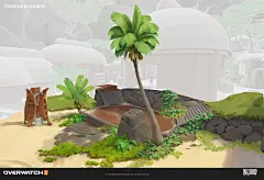 Overwatch 2 - Samoa-花瓣网