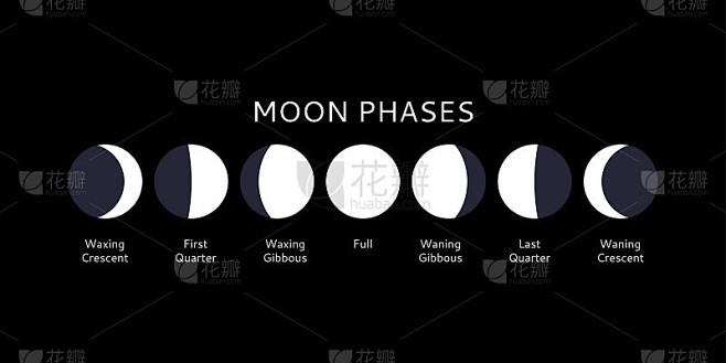 Moon phases set, calendar symbols, vector illustra