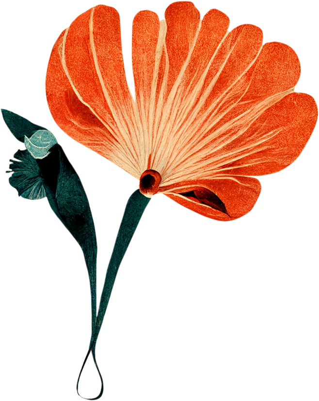 Flower Graphics (19)