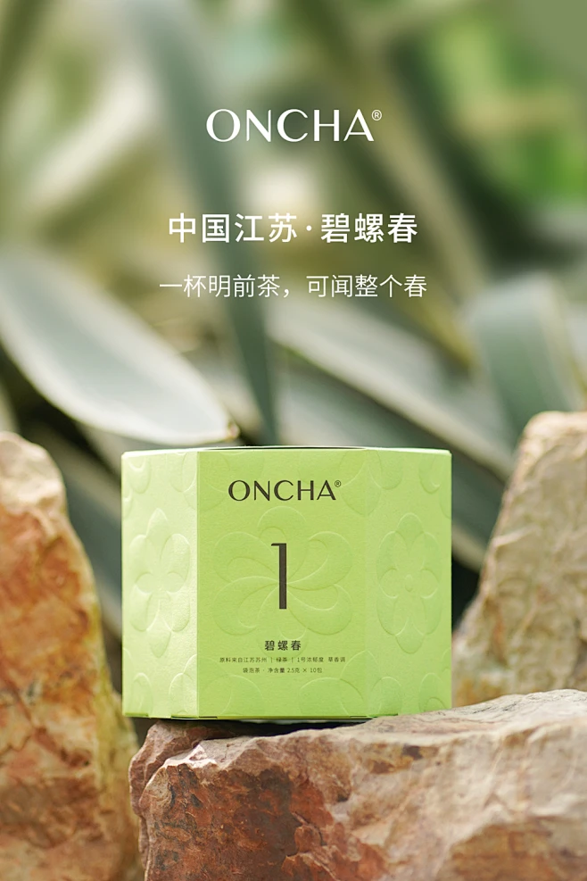 ONCHA开始喝茶 特级碧螺春22年嫩芽新茶炒青绿茶花果香茶叶茶包-tmall.com天猫-花瓣网