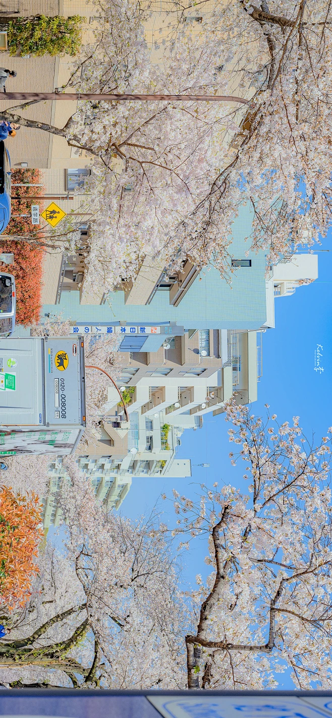 你未必出类拔萃，但一定与众不同『春日风景电脑无水印壁纸』#小清新壁纸##聊天背景图# -花瓣网