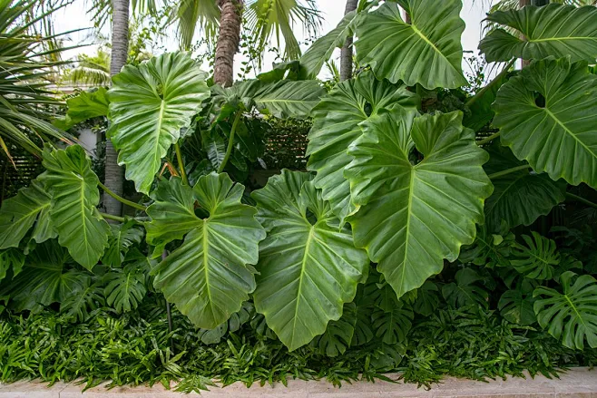 Click to close image, click and drag to move_ Use arrow keys for next ...