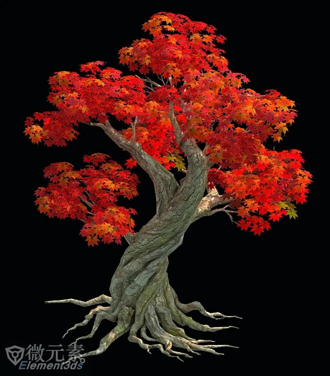 植物原画树原画来自cgbook.cn (1977)-花瓣网