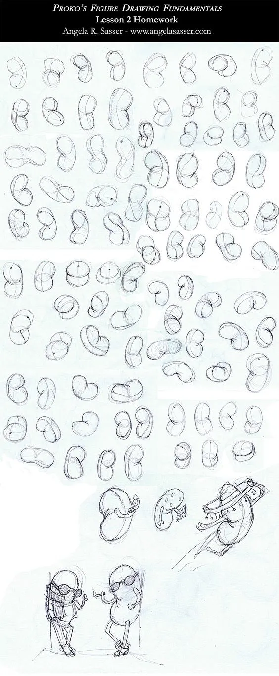 Proko’s Figure Drawing Fundamentals – Lesson 2 Homework-花瓣网