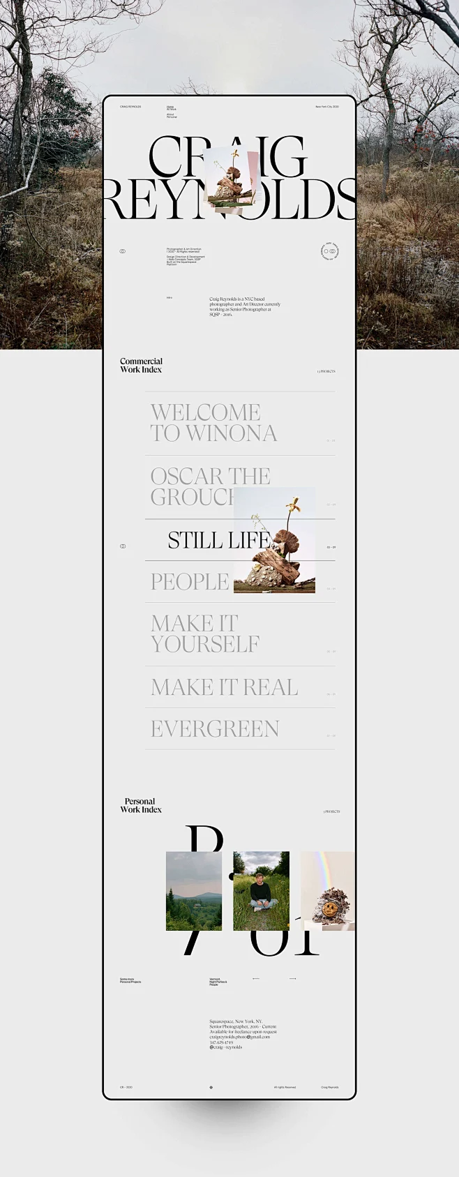 Craig Reynolds : Digital Branding and Website build for New York City ...