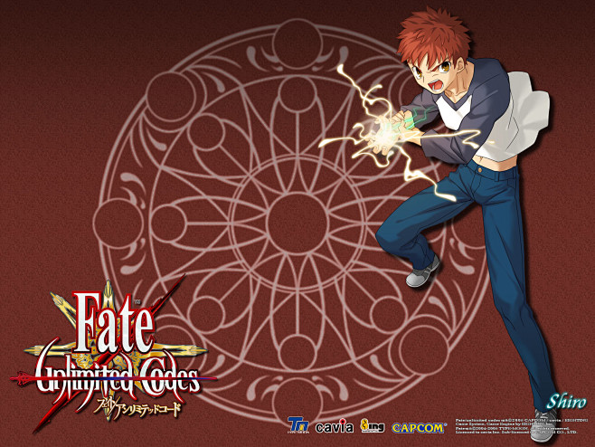 Fate/unlimited codes(壁纸4)
