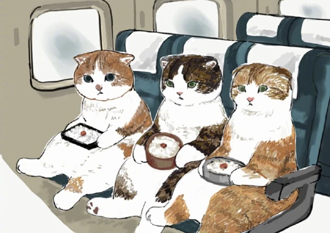 喵.Twitter： mofu_sand 图片_【萌宠Animales】图片素材-花瓣网