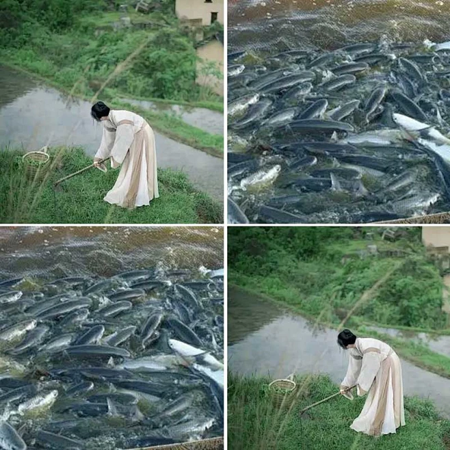 广告素材搜索 - AppGrowing - 有米云-花瓣网