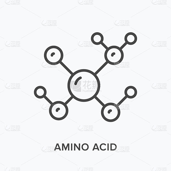 氨基酸平线图标。结构式矢量轮廓图。黑色细线型象形图表示分子