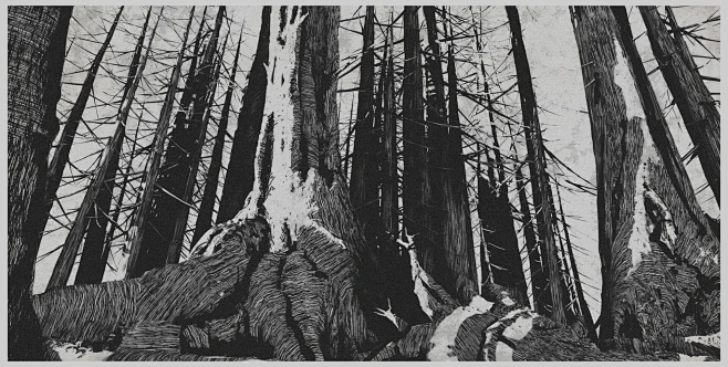 florent-lebrun-tree-花瓣网