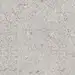 Rete texture-花瓣网