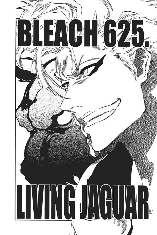 死神 BLEACH漫画单行本 第69卷-漫画DB