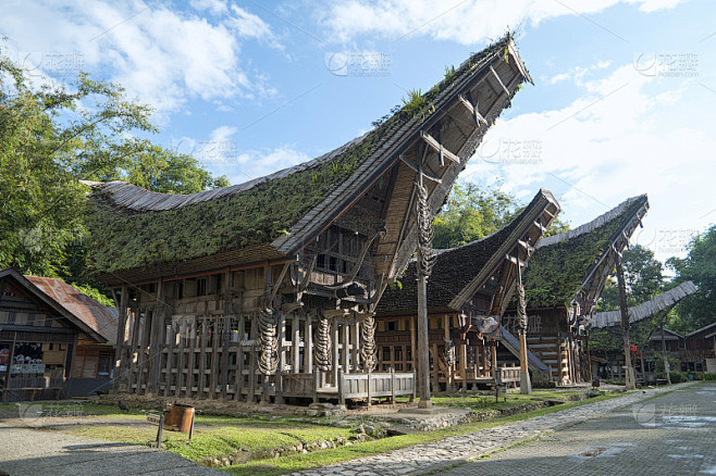 Tongkonan房屋，传统的Torajan建筑和房屋