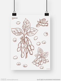 豌豆-花瓣网|陪你做生活的设计师 | 速溶营养饮料品成人孕妇专用105g（15g*7小包） 豌豆蛋白粉【图片 价格 品牌 报价】-京东