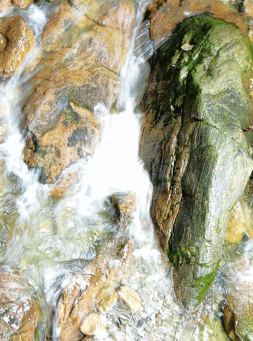 点击查看源网页-花瓣网