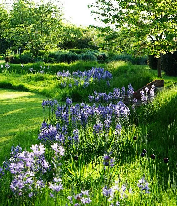 (19) Pinterest-花瓣网