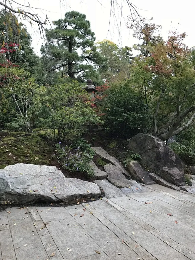 640 (1080×1440)-花瓣网