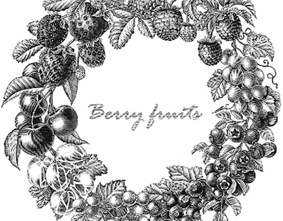 Berry circle-花瓣网