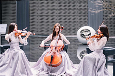 演绎 | 弦乐、交响-花瓣网|陪你做生活的设计师