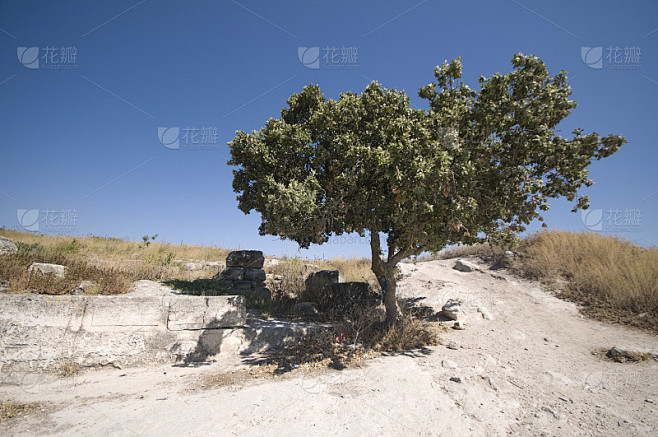 以色列Beit She'arim古遗址