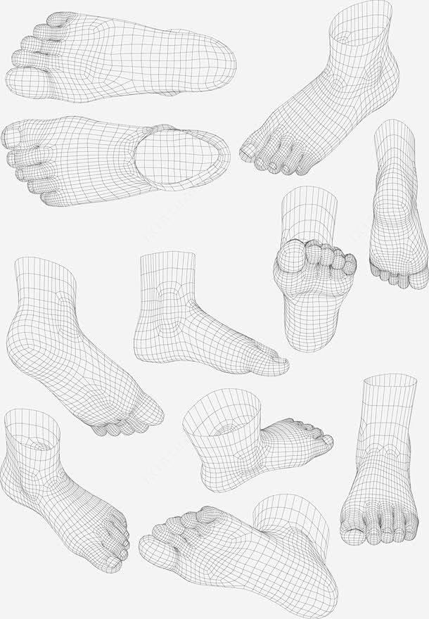 人脚3D模型eps免抠素材_新图网 https://ixintu.com 脚 模型 矢量 3D-花瓣网