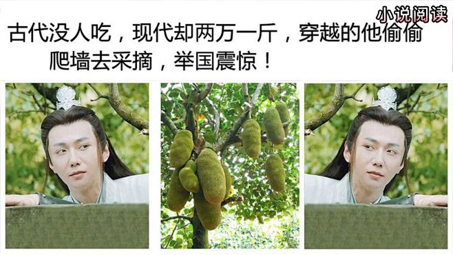 男-历史-大图-无-26LSQ-1227 (2)