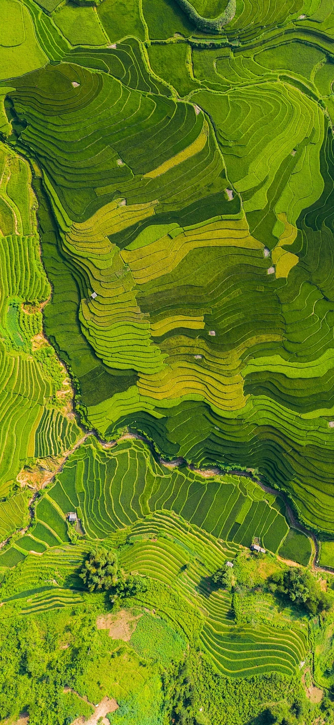 006WYq6ngy1he3l37n259j30v91vokjm.jpg (1125×2436)-花瓣网