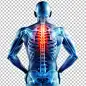 back pain transparent background-花瓣网
