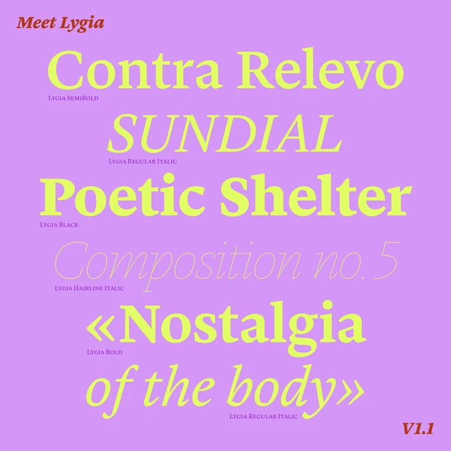 Lygia by Flavia Zimbardi - Future Fonts : License Lygia and more in-progress typefaces on Future ...