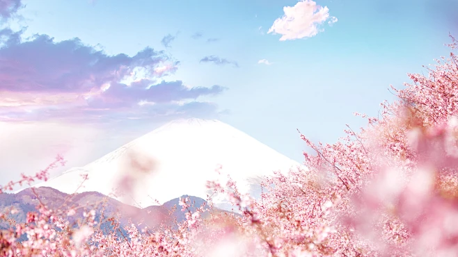 首页-camel旗舰店-天猫Tmall.com-花瓣网