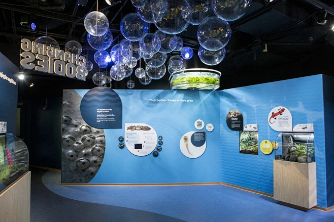 Custom Acrylic Aquarium and Zoo Exhibits : ZeroEdge specializes in the ...