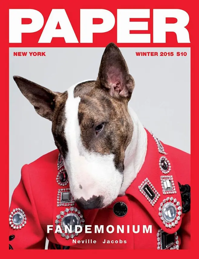 Paper Magazine Winter 2015 Magazine Covers (Paper Magazine) : Paper ...
