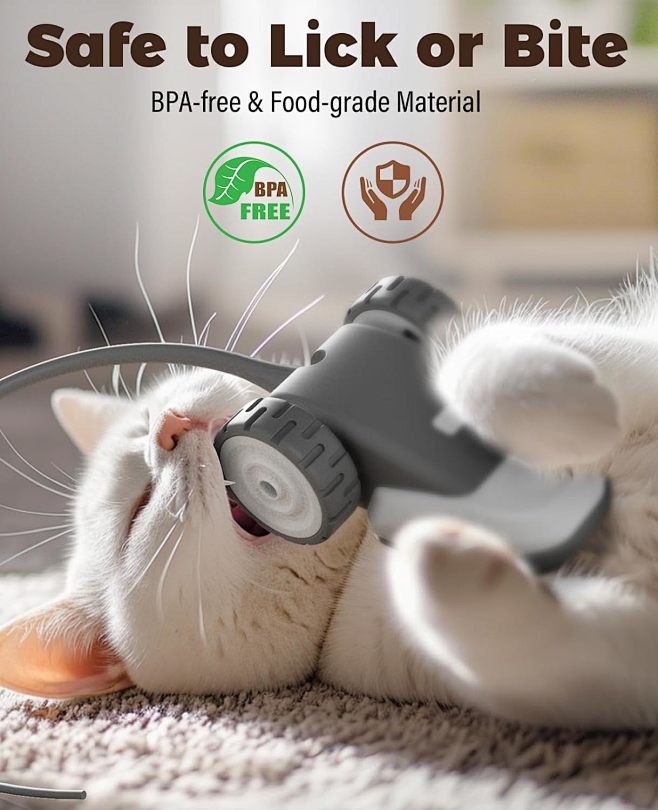 Amazon.com : CYROS 3-in-1 Interactive Cat Toy - 2-Speed Automatic ...