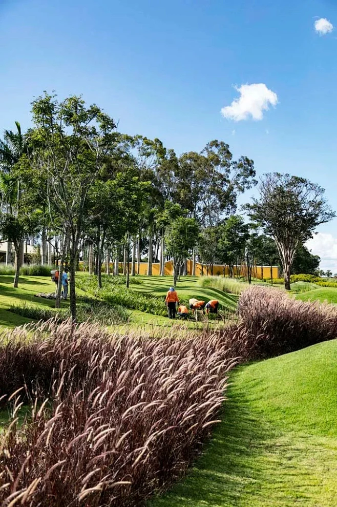 Hanazaki在2019年的作品-花瓣网