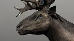 战神合集图片大全-战神合集高清好看的图片--花瓣shiftswty的画板