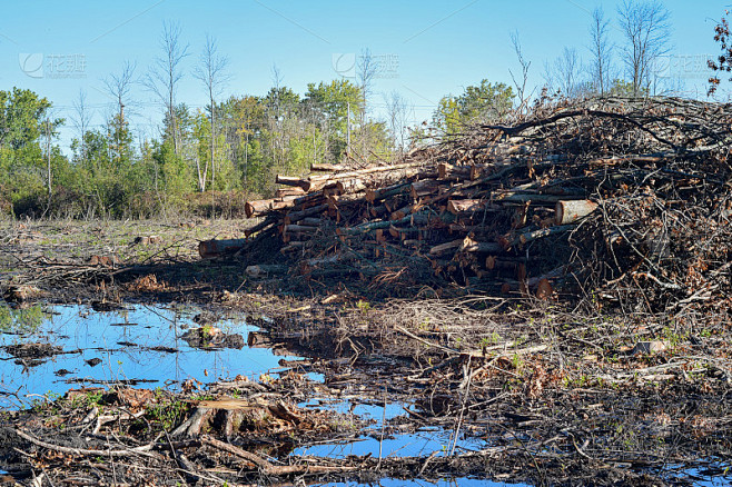 砍伐森林，破坏栖息地，破坏环境