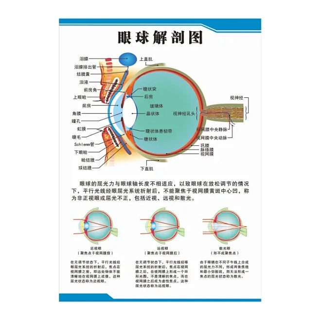 src=http___img-花瓣网