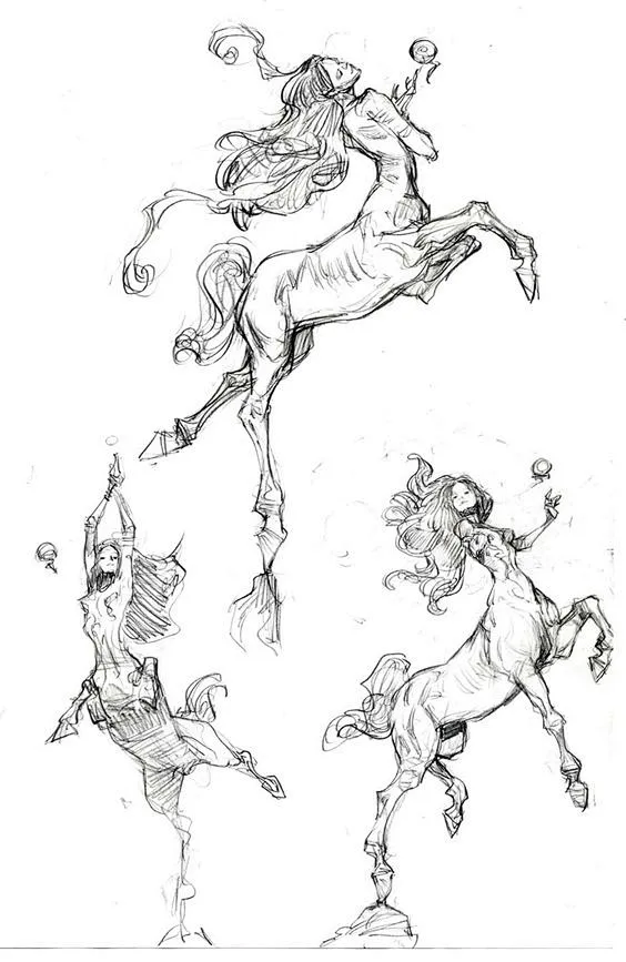 centaur ref: -花瓣网