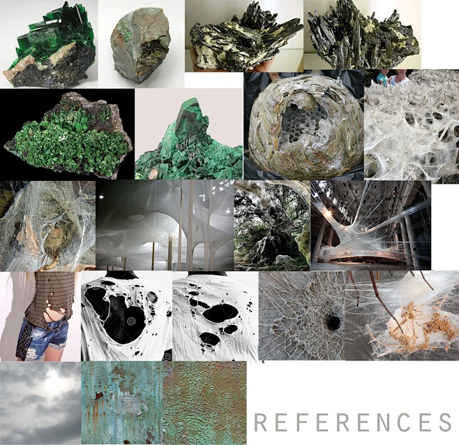 Meng Ren : CA-花瓣网