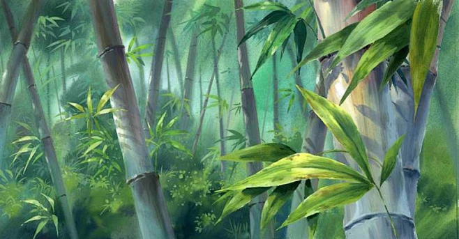 植物原画树原画来自cgbook.cn (1216)-花瓣网