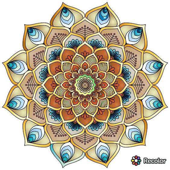 (469) Pinterest-花瓣网