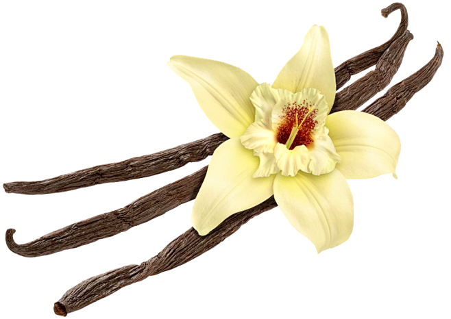 vanilla-bean