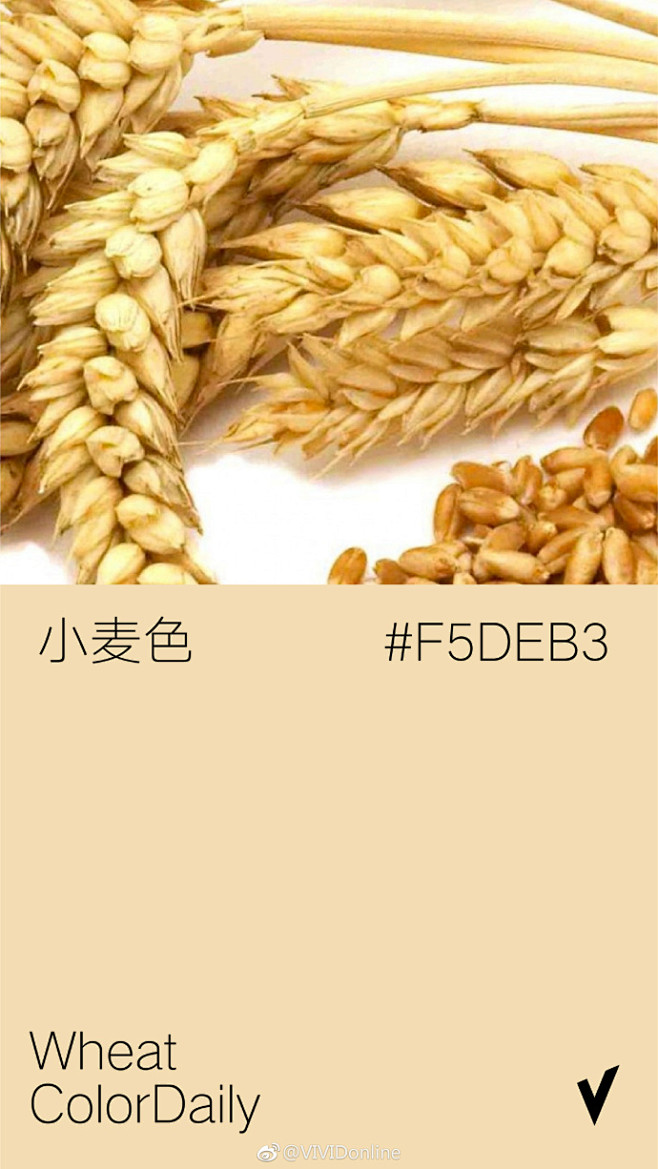 小麦色 #f5deb3