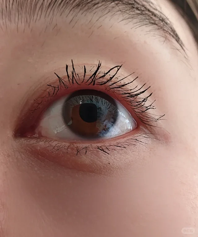 睫毛膏对比 - 小红书搜索-花瓣网