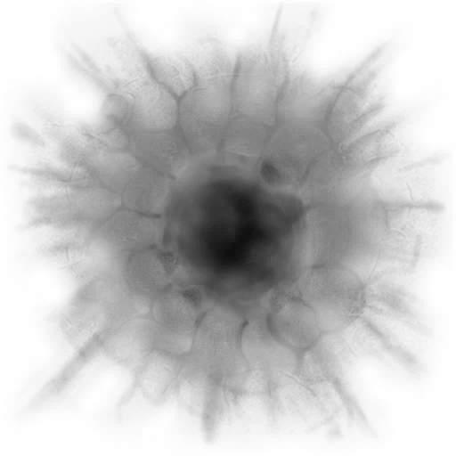 FX_DiLie_69-花瓣网