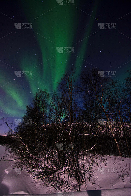 北极光，艾贝耶娃河，挪威阿尔塔